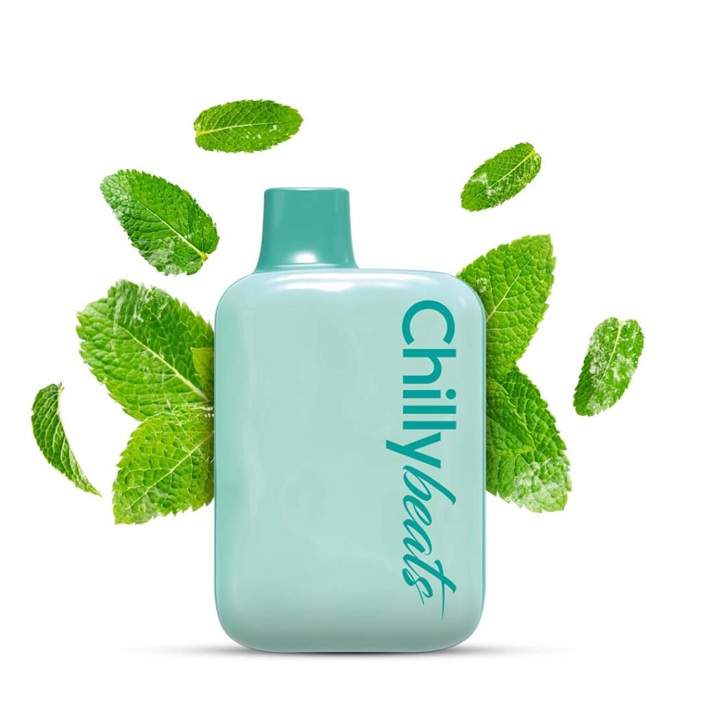 Double Mint – Chilly Beats